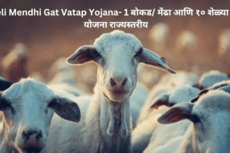 Sheli Mendhi Gat Vatap Yojana